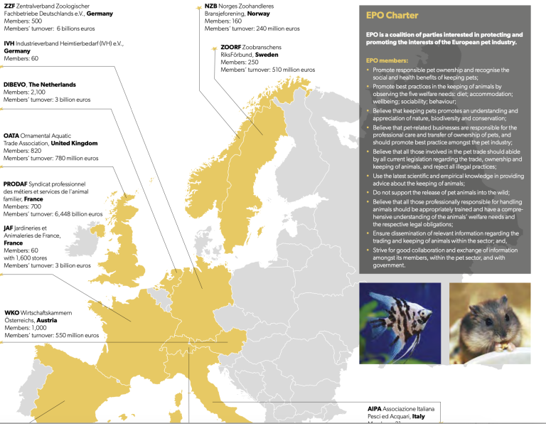 An updated Leaflet for EPO – The European Pet Organization