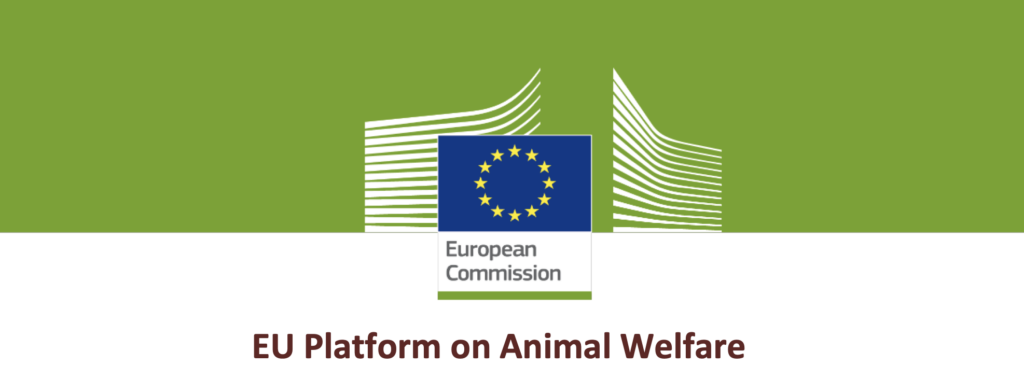 EPO joins the EU Platform on Animal Welfare – The European Pet Organization
